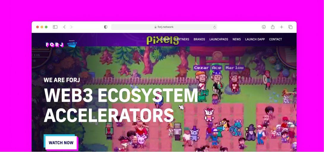 20+ Best Online Community Apps Ranked for 2025